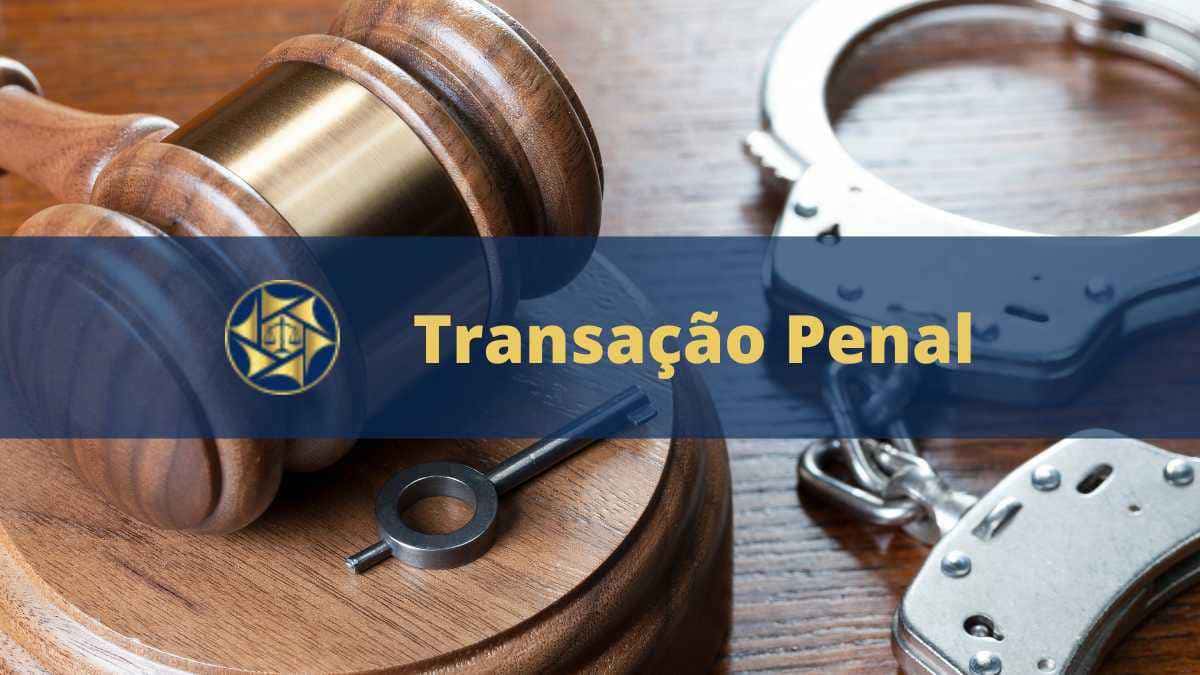 Transação Penal, tudo o que você precisa saber - 2024